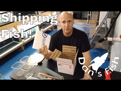 Mailing Fish - General Chat - Aquarium Co-Op Forum