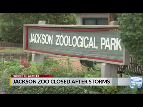 Jackson zoo closed following storms