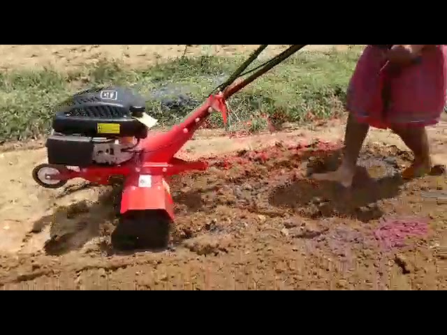 Mini Rotary Power Tiller - 5 h.p mini weeder Trader - Retailer from ...