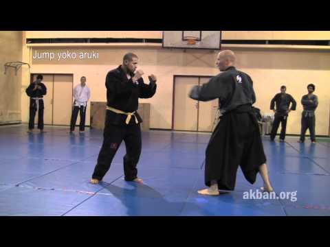 Ninjutsu Techniques Portal – 11,000+ Documented Methods | AKBAN