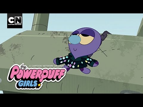 The Powerpuff Girls | Cephalopods Do…: English ESL video lessons