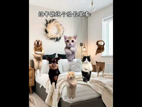 Animals dancing with chinese song meme