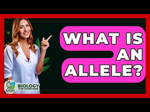 What Is An Allele? - Biology For Everyone
