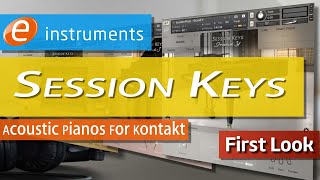 e-instruments Session Keys Acoustic Bundle - What To Know & Where To Buy | Equipboard