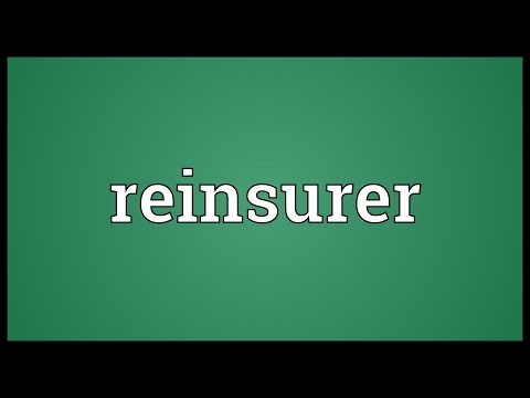 Reinsurer Meaning