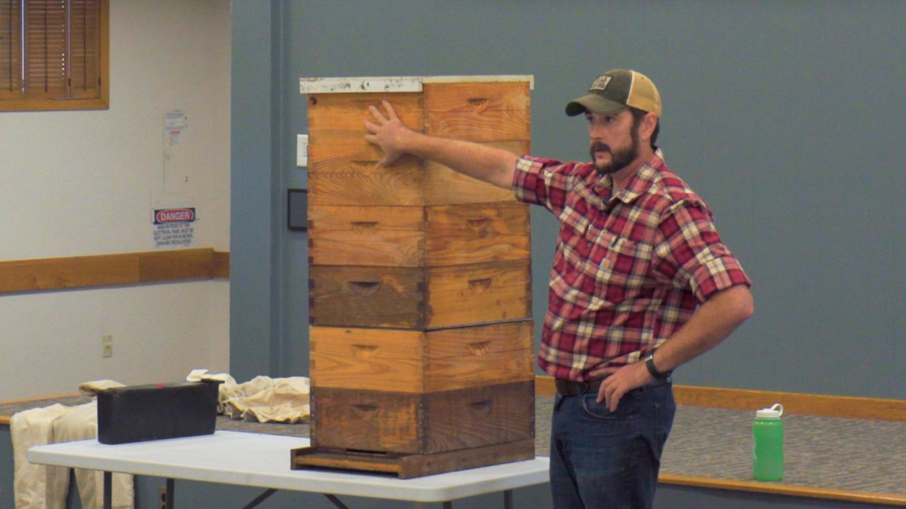 Running All Mediums Boxes (Complete Beekeeping System)