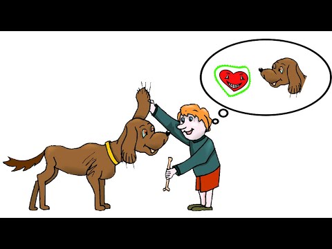 American Sign Language ASL Video Dictionary - caring