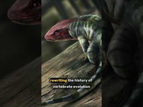🌍 May 15 World Report | Tornadoes, Ancient Reptiles & Paid Lounging