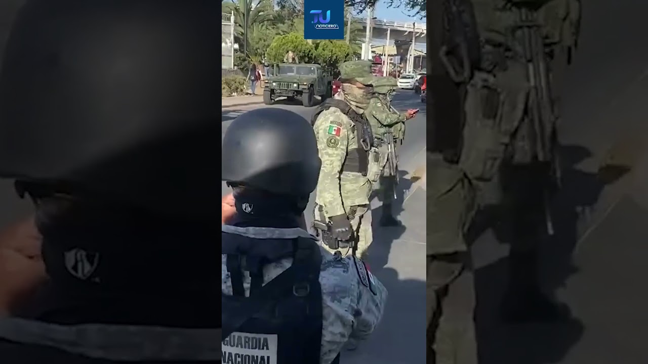 Dos sujetos fueron detenidos por transportar 100 kilos de marihuana, ahora pasarán más de ocho años