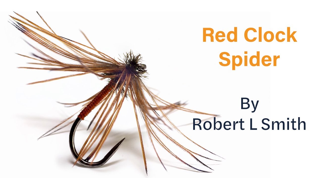Red Clock North Country Spider