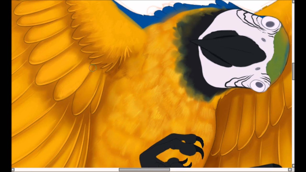Parrot speedpaint