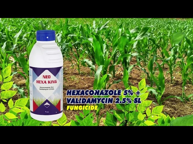 Bio Fungicide - FUNGI OFF ( BIO FUNGICIDE ) Manufacturer from Rajkot