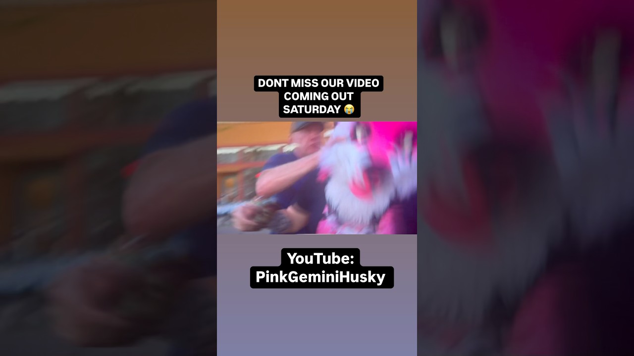 Just happened a few hours ago #furry #fight #fighter #publicfreakout #freakout #scary #attacked