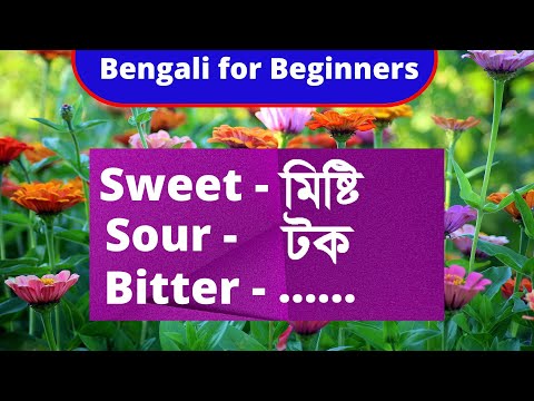 How to say SWEET, SOUR, BITTER, SALTY etc. in Bengali ( with examples) || Bengali for Beginners