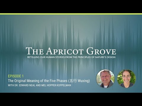 Episode 1: The Original Meaning of Wu Xing