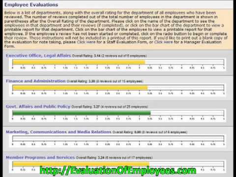 Performance Review Examples