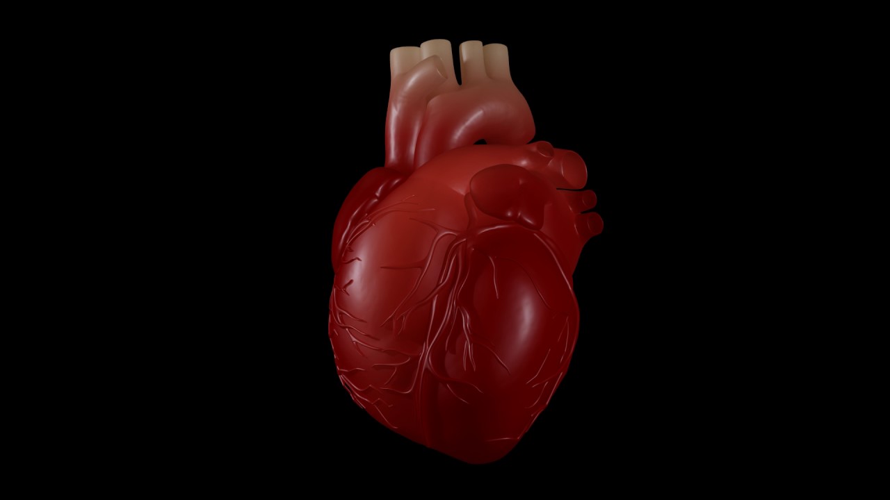 3D Heartbeat
