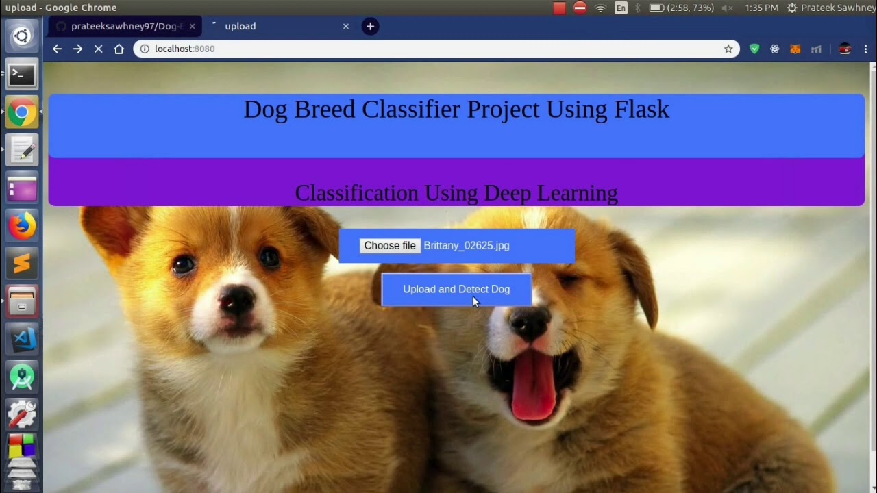 Dog Breed Classification Project Using Flask