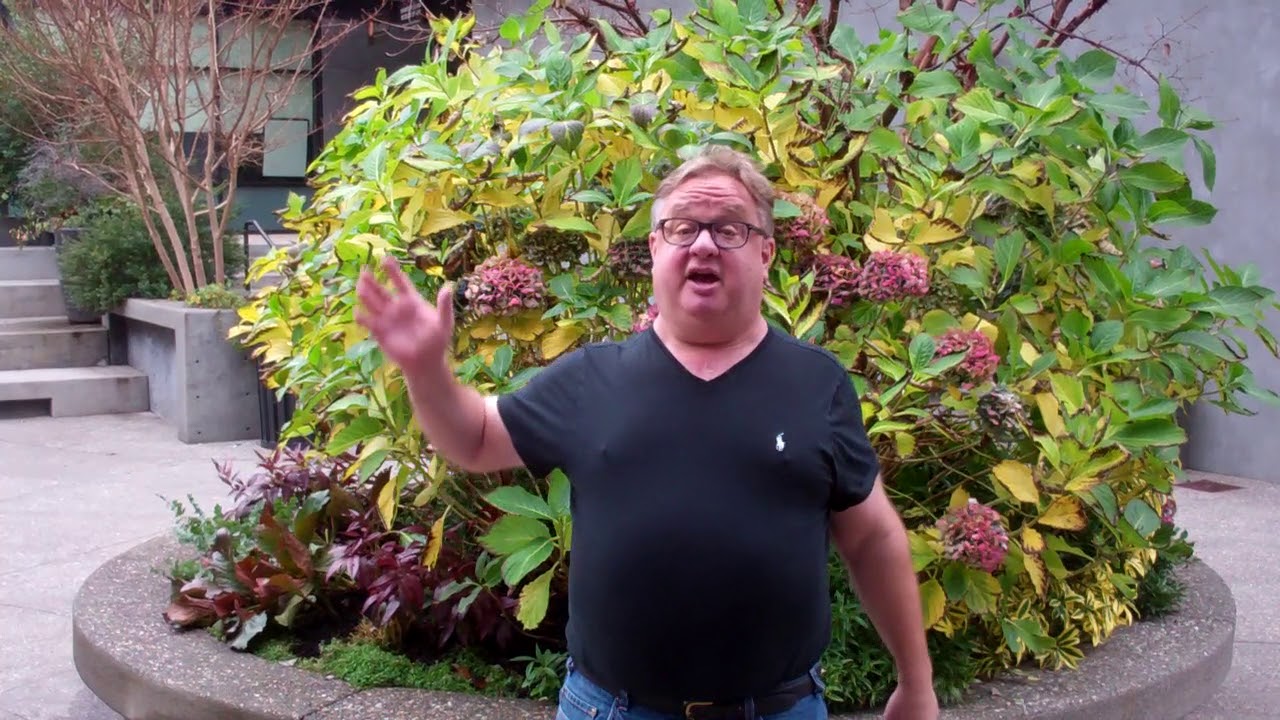 MyCloudIT White Paper Download