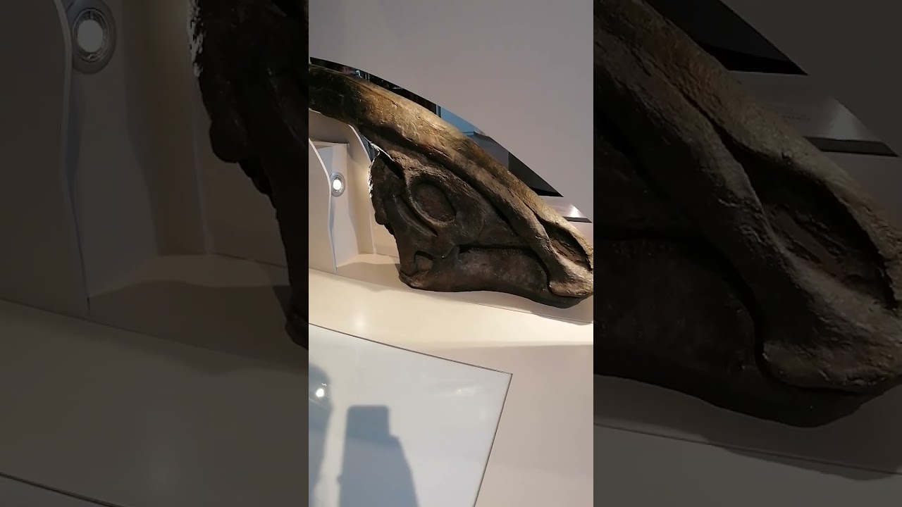 What DINOSAURS really SOUNDED like - Parasaurolophus