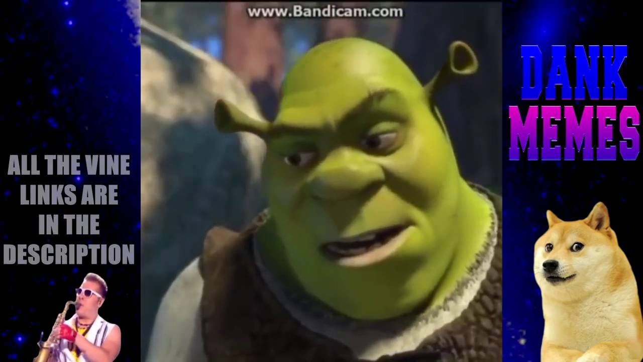 Hilarious Dank Meme Vine Compilation V5