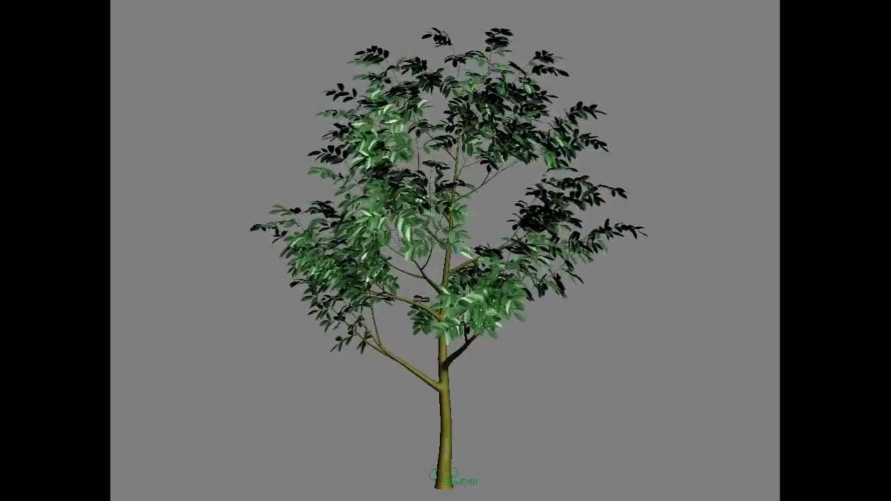 Exlevel.com - Tutorials