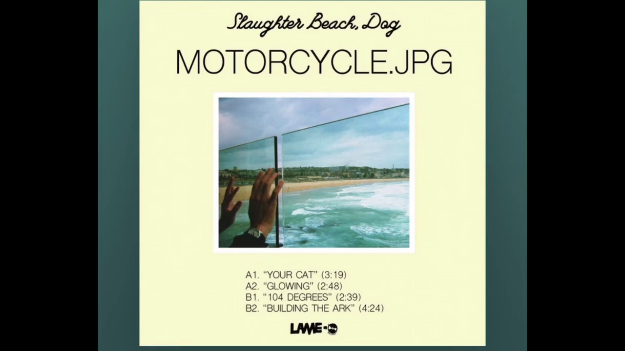 Your cat - Slaughter beach dog