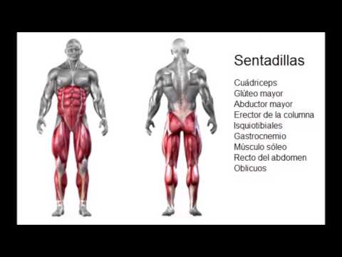 Entrenamiento Tren Inferior – Preparación Física