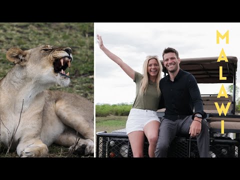 HOW MANY ANIMALS CAN WE SPOT ON SAFARI IN MALAWI?! | Staying In Malawi's Best National Park