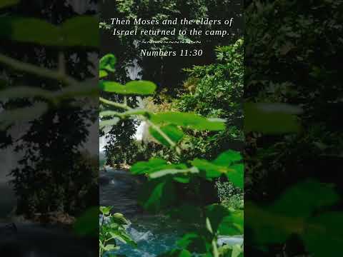 Bible | Numbers 11:30 | Then Moses and the elders of I...