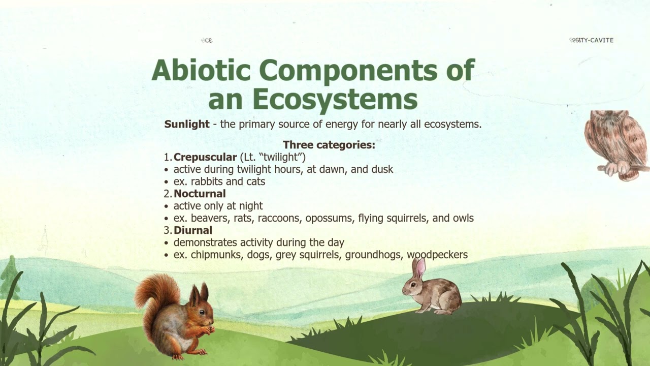 Part I. The Ecosystem Structure, Function and Components (Abiotic Components)