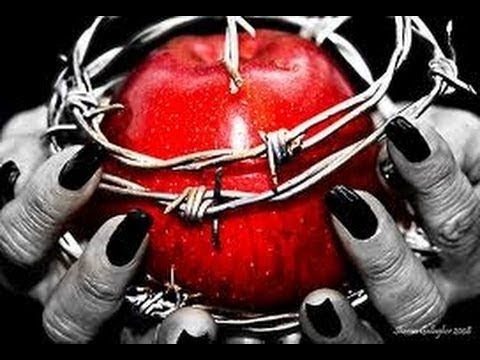 Forbidden Fruit: What Is taboo/ forbidden?