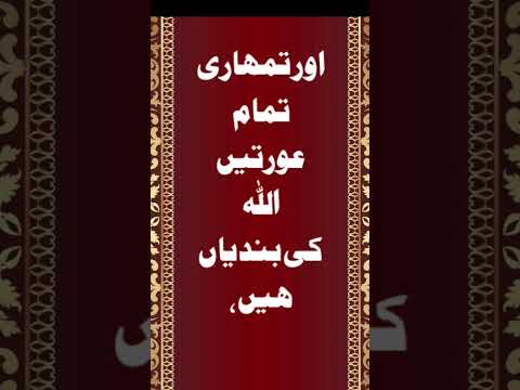 Mera Banda,Meri Bandi | #hadeesinurdu #hadees #shorthadees