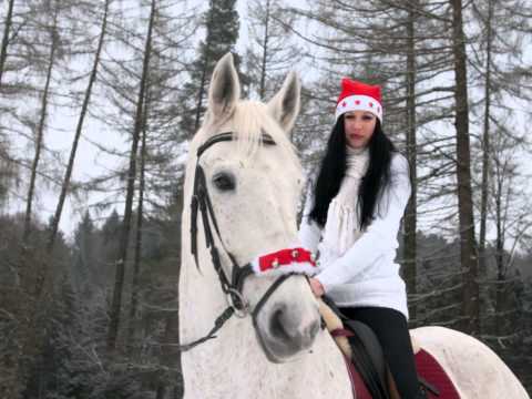 Merry Christmas.wmv