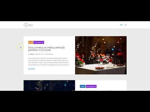 Divi Blog Extras - How to set a category background color