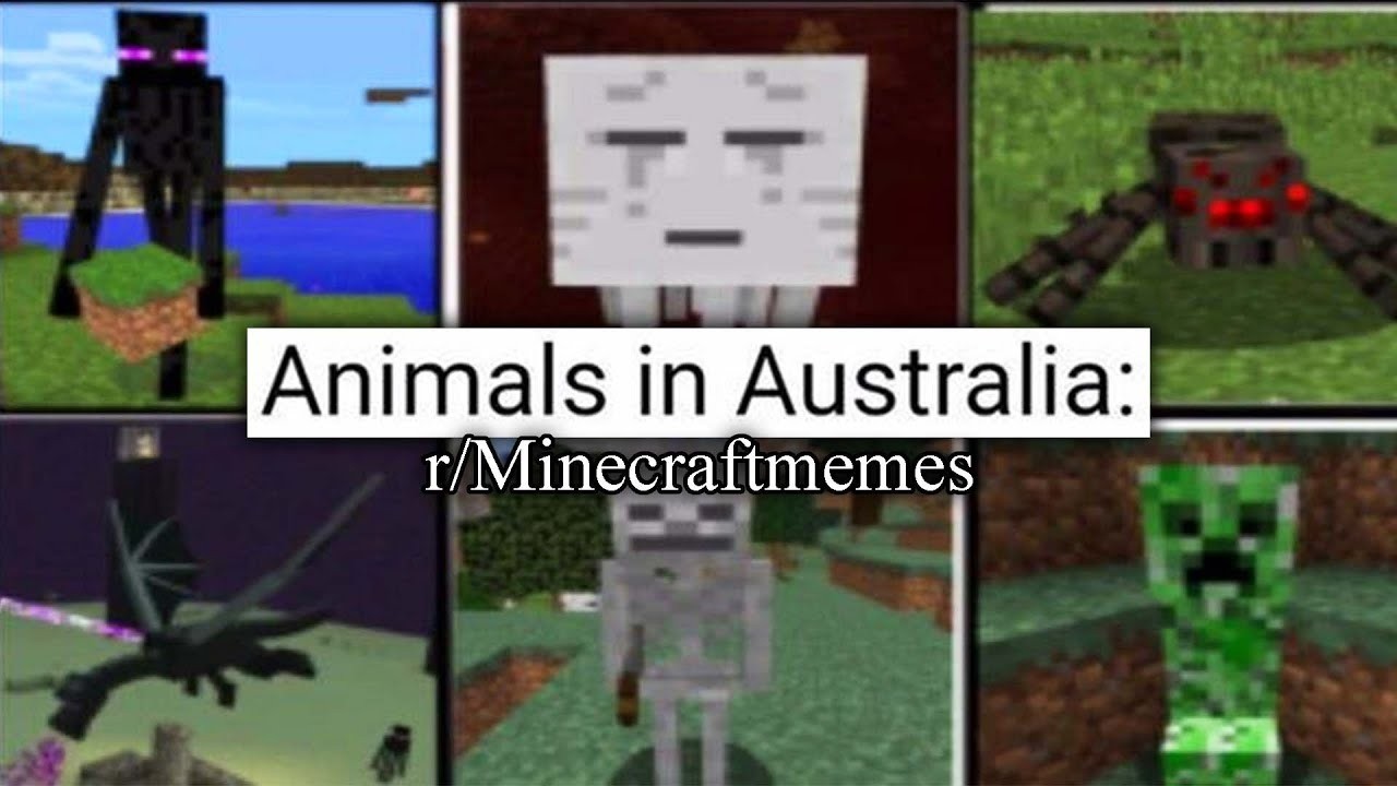 r/minecraftmemes is hilarious