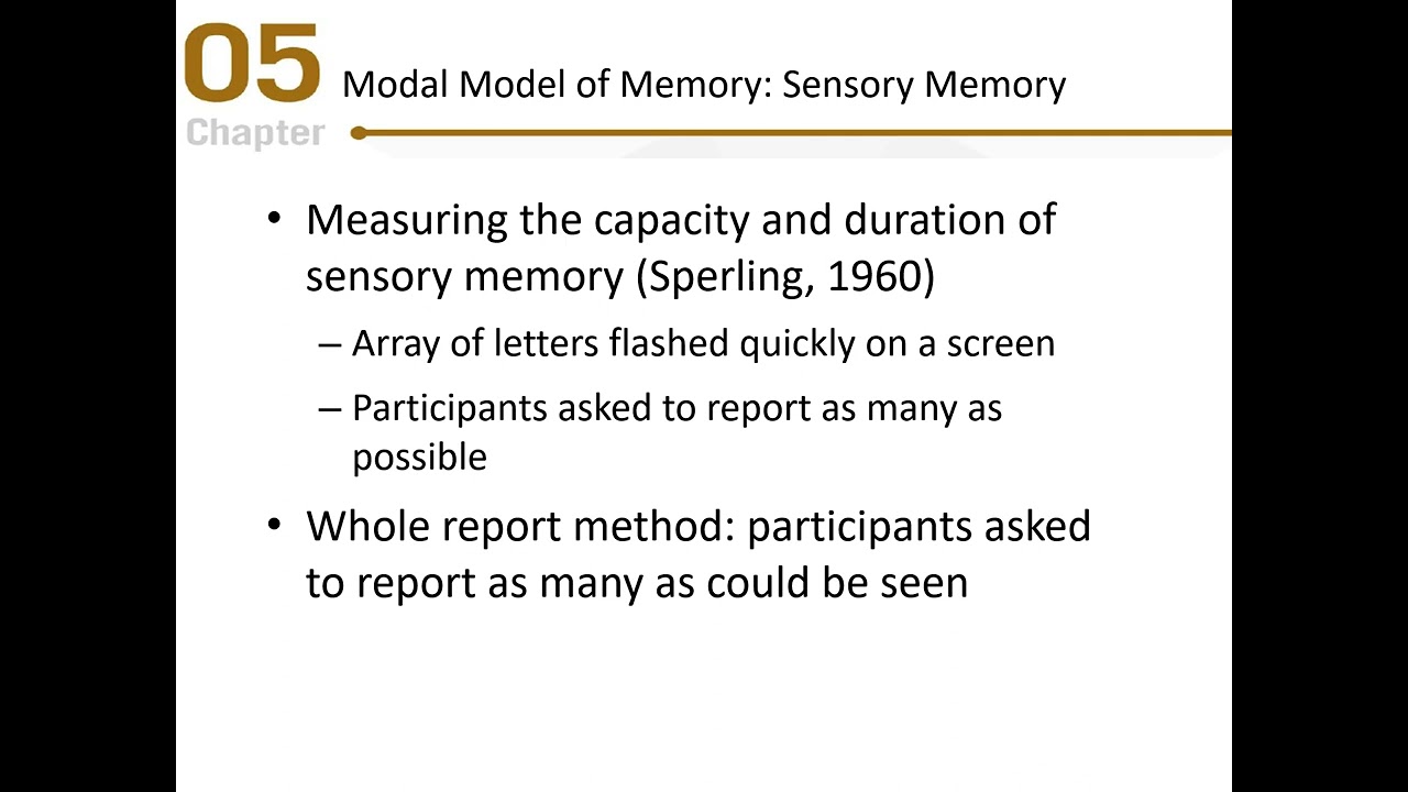 Cognitive Psychology Chapter 5 Lecture