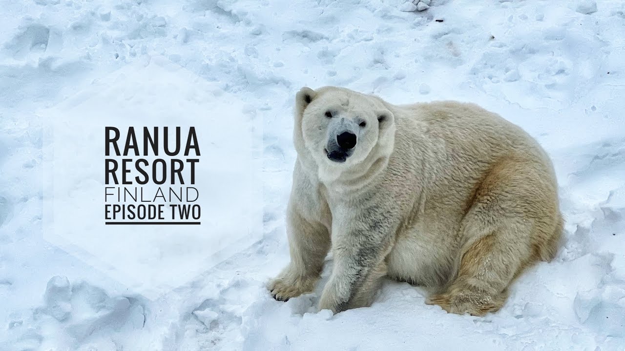 Ranua Resort - Finland. Episode Two: Zoo, Deep Snow & Sleigh Bells.