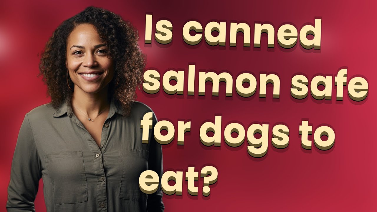 Is canned salmon safe for dogs to eat?