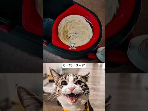 This is cursed Technologia π
#funny #memes #cat #trending