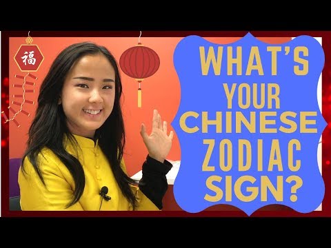 Vocabulary for 2019 Chinese New Year and Chinese zodiac sign【Dr Kwok】