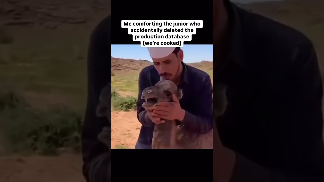 #database #coding #python #java #javascript #C #flutter #programming #developer #humor