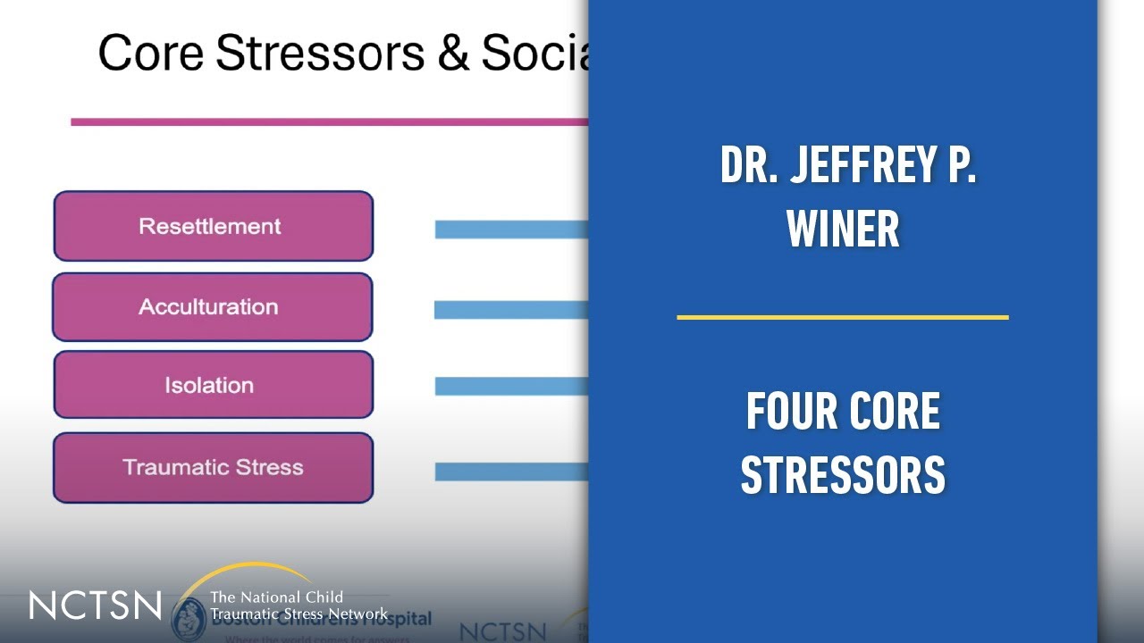 Four Core Stressors Framework