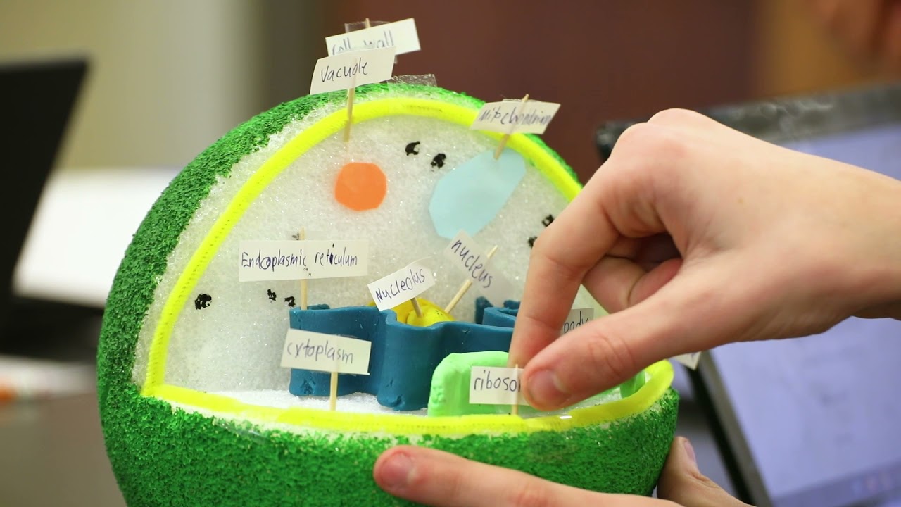 Riverside Middle School Virtual Tour