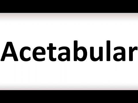 How to Pronounce Acetabular (correctly!)