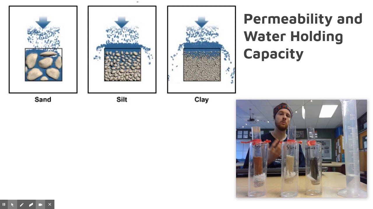 AP Environmental Science Soil Lab [Directions in Description]