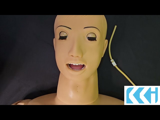 Medical Simulators - Choking Rescue Trainer Vest Manufacturer from New ...