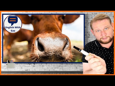 Nose Vocabulary - Learn 18 words connected to the NOSE.