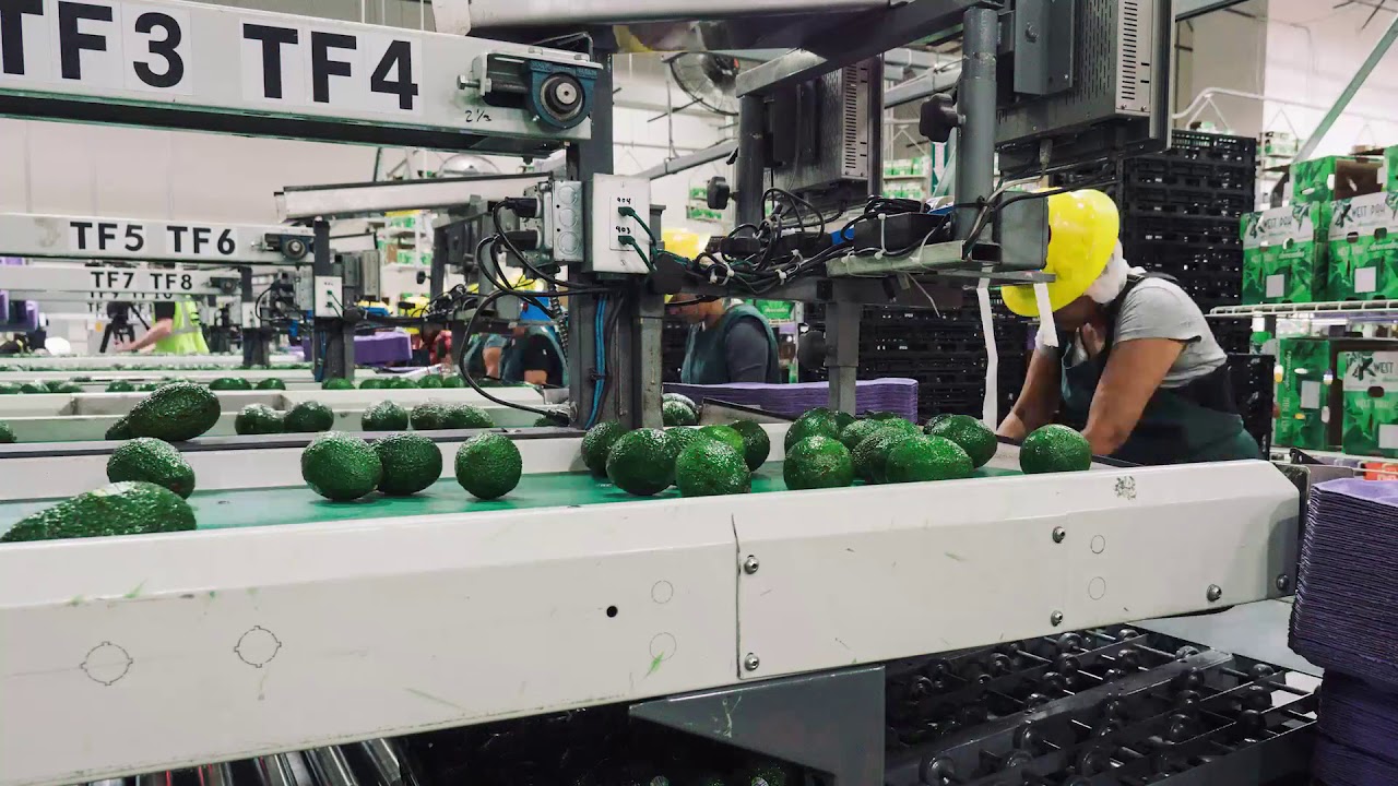 Facilities - West Pak Avocado Inc.