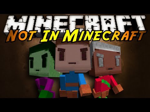 Not in minecraft – zamzamsha